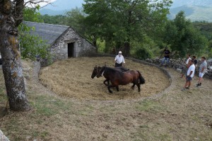 Guvno (gumno) – mjesto kruha i igara